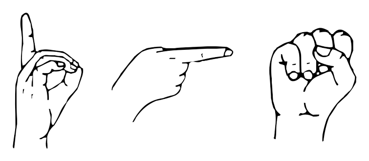 Sign Language Recognition